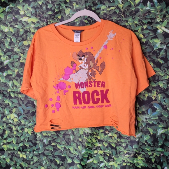 TRUCE | Shirts & Tops | Truce Tshirt Crop Top Taz Tasmania Devil Looney ...